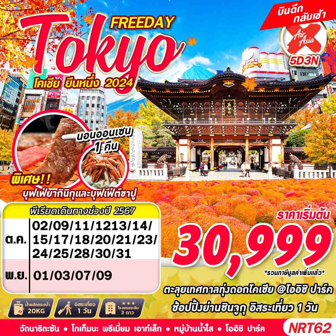 NRT62 XJ DMK TOKYO โคเชีย ยืนหนึ่ง 2024 (FREEDAY บินดึก) OCT-NOV 5D3N ...
