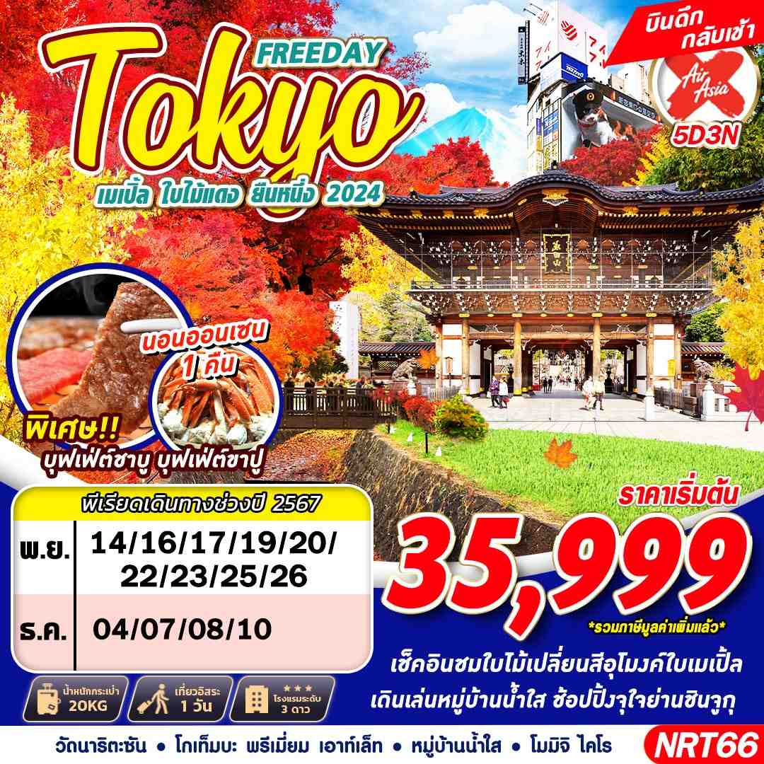 NRT66 XJ DMK TOKYO เมเปิ้ล ใบไม้แดง ยืนหนึ่ง 2024 (FREEDAY บินดึก) NOV ...
